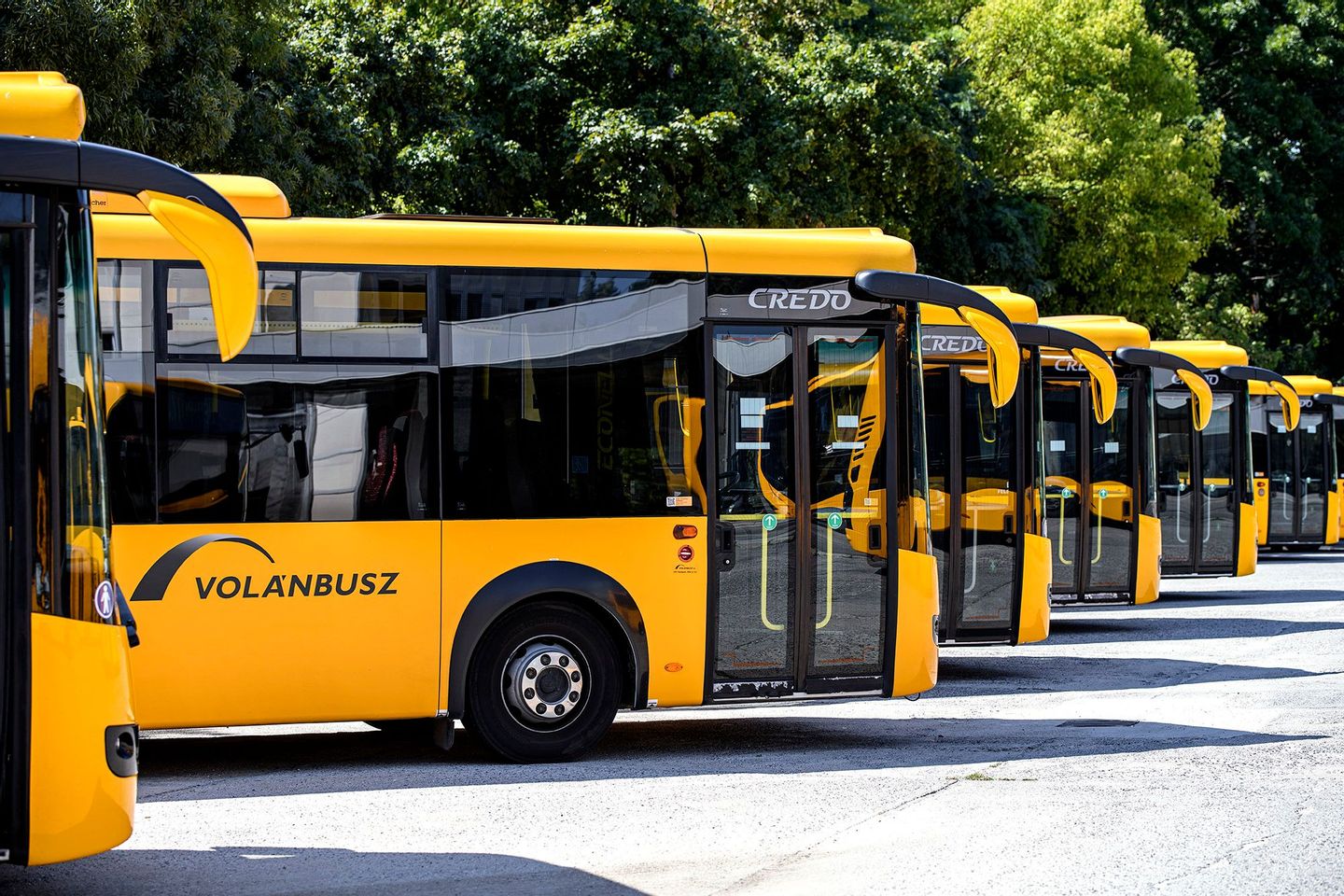 A Volánbusz folytatja a járműállomány fiatalítását Fejér megyében