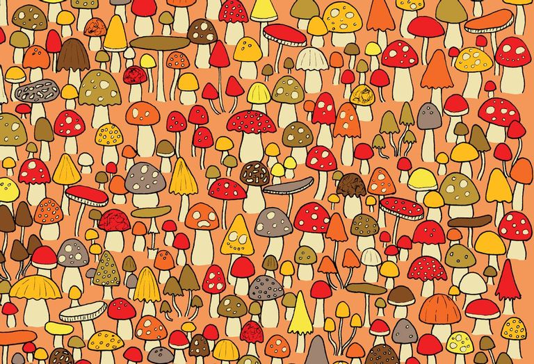 Játék: megtalálod a cincogó egeret a gombák között?